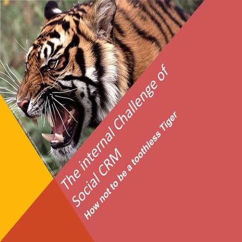 Internal challenges of social media | PPTX