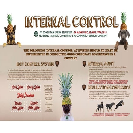 Internal control (infographic) | PDF