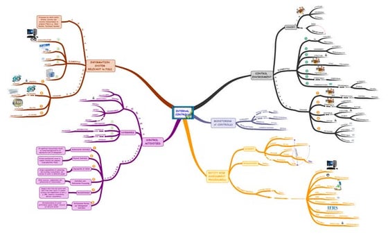 TOPIC : " CONTROLS " - MIND MAPPING STUDY TECHNIQUE | PPT
