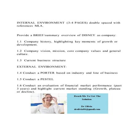 INTERNAL ENVIRONMENT (3-4 PAGES) double spaced with references M | PDF