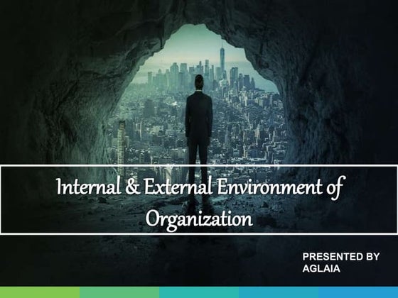 The Environment and Culture of Organizations | PDF