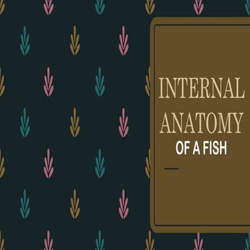 INTERNAL AND EXTERNAL PARTS OF A FISH.pptx