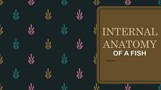 TLE 8 Chapter 2 Lesson 1 | PPTX