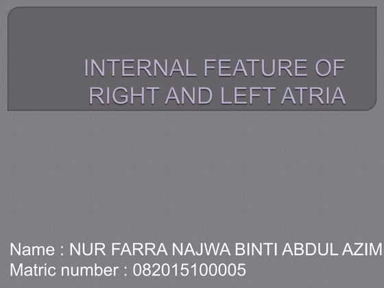anatomy of Left atrium and left ventricle of the human heart | PPTX ...