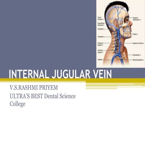 Internal Jugular Vein | PPTX