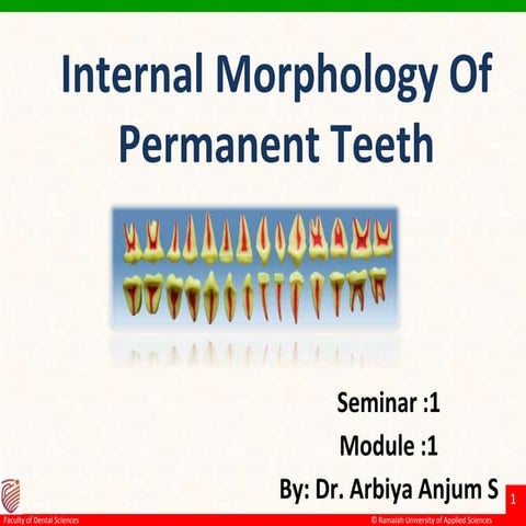 Internal morphology of permanent teeth | PPTX
