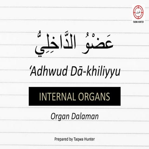 BAHASA ARAB - Organ Dalaman (Internal Organs) | PDF