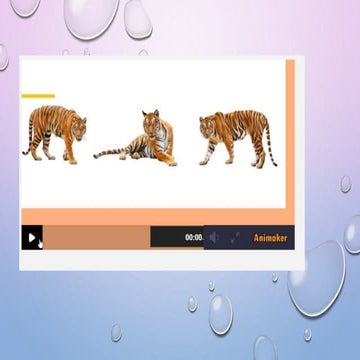 Internatinal tiger day | PPT