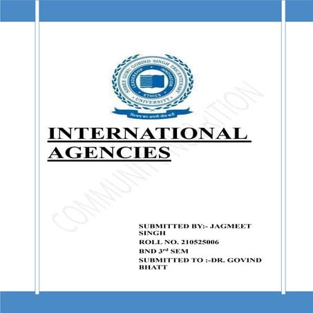 INTERNATIONAL AGENCIES.docx