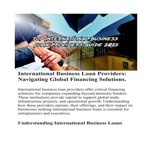 TOP INTERNATIONAL BUSINESS LOAN PROVIDERS | PDF