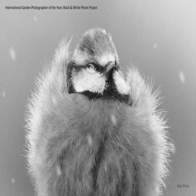 International Garden Photographer of the Year: Black & White Photo ...