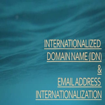 INTERNATIONALIZED DOMAIN NAME (IDN) & EMAIL ADDRESS ...