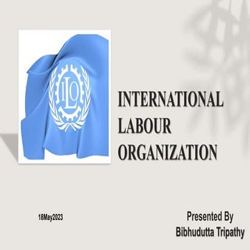 International labour Organisation | PPTX | Business | Business and Finance