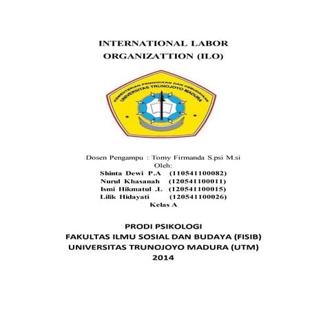 International labour organizattion (ilo) | DOCX