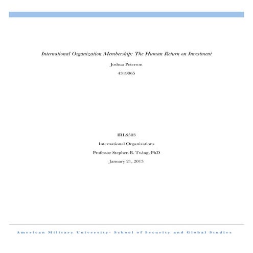 International organization membership the human return on investment | PDF