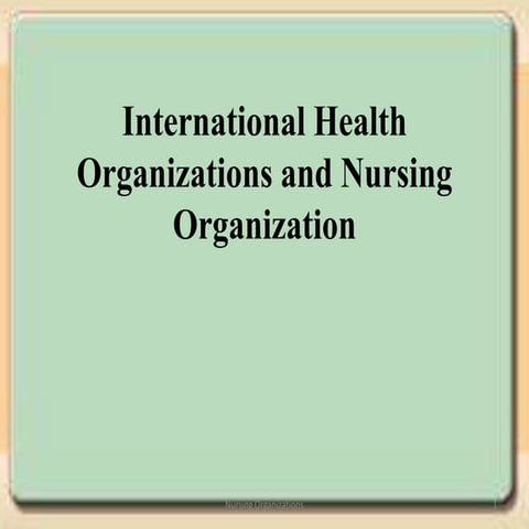 International Organizations.pptx