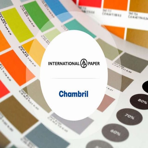 International Paper | PPTX