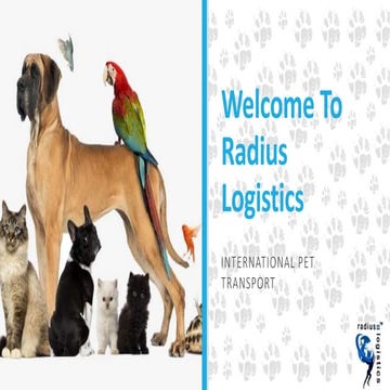 Pet Logistics Services In Delhi | Pet Relocation Services | PPTX