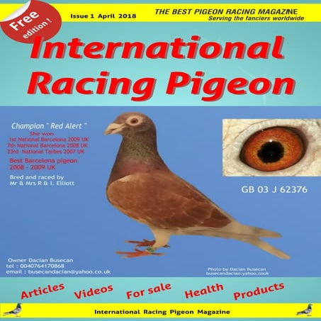 International Racing Pigeon Magazine | PDF