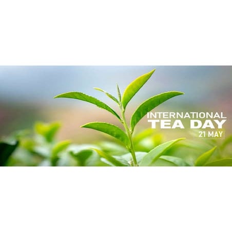 International Tea Day 2024; May 21st - United Nations. | PDF