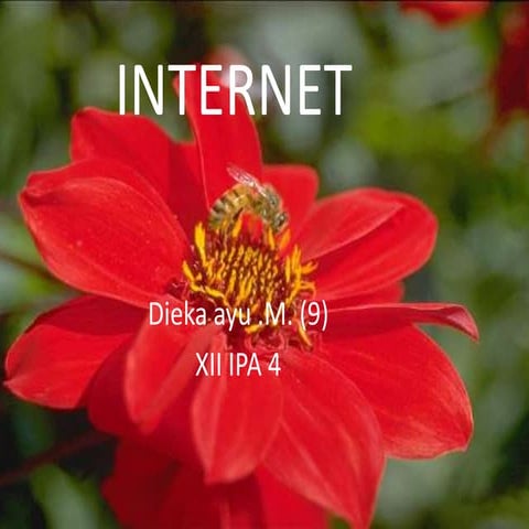 Perangkat untuk mengakses internet | PPTX