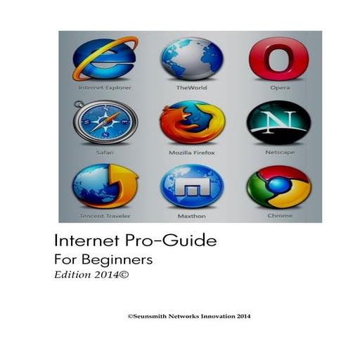 Internet Pro Guide 2014 Edition | PDF | Email | Internet