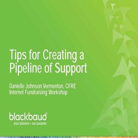 Internet Fundraising Boot Camp: Creating a pipeline of support | PDF