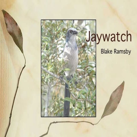 Career Park Ranger | PPT