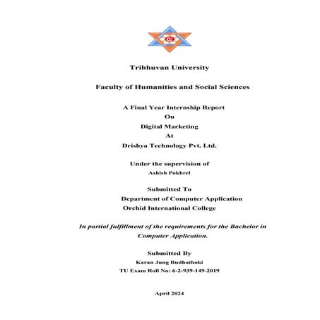 Internship final Report on Digital marketing.docx