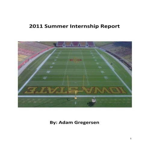 Internship Summary Paper | DOCX