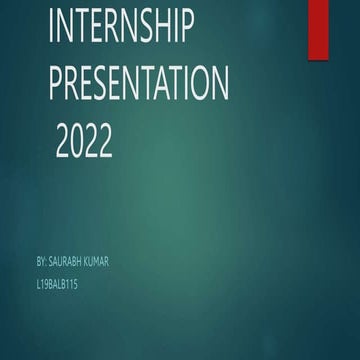 internship ppt.pptx