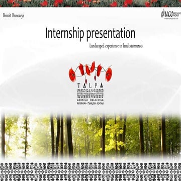 Internship presentation | PPTX | Desktop Publishing | Computer Software ...