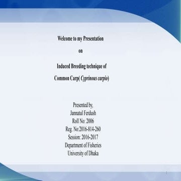 Internship presentation.pptx | Free Download