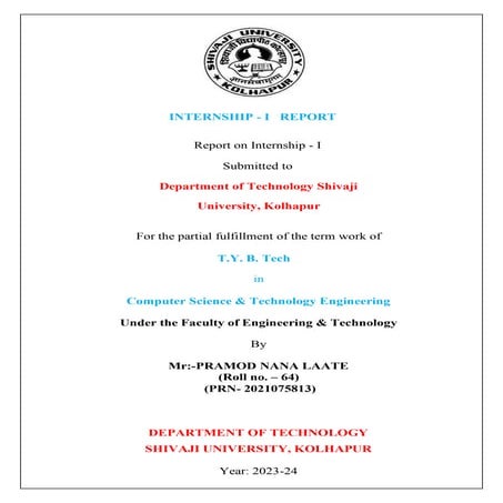 InternshipReport-1.pdf