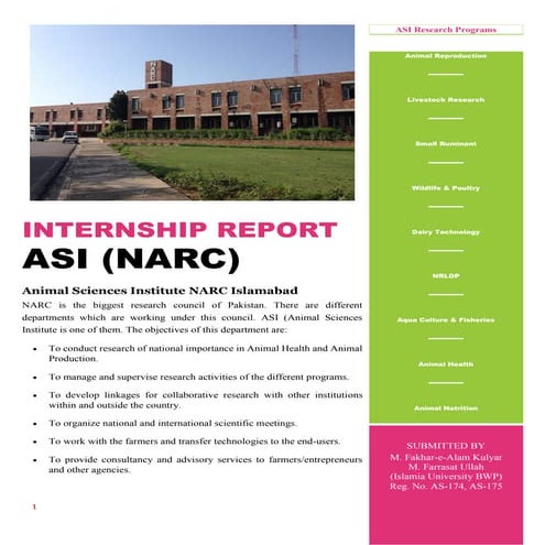 Internship report | PDF