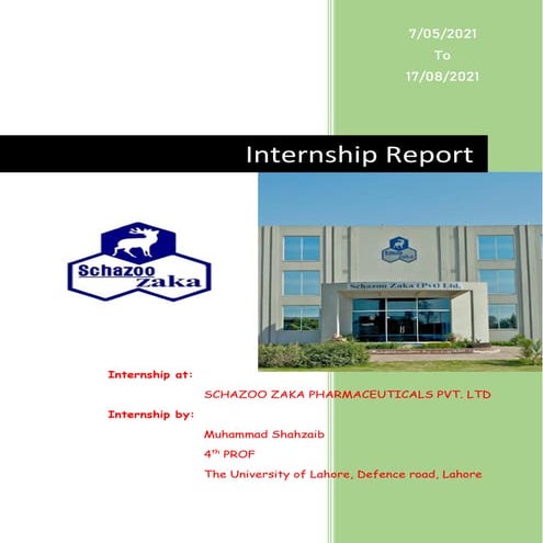 Internship report | PDF