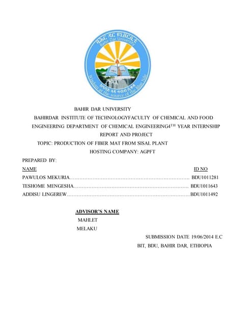 Internship Report | PDF