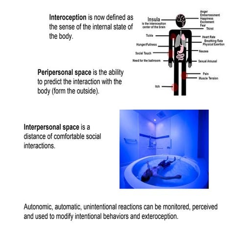 Peripersonal space journal club, Lyon, CRNL 2019 | PPT