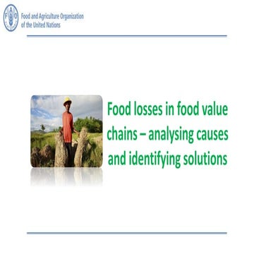 Food losses in food value chains – analysing causes and identifying ...