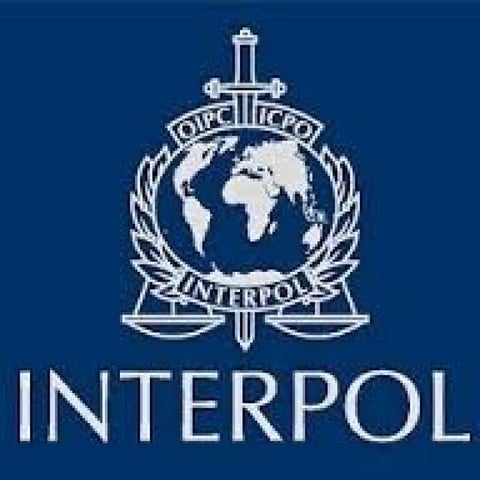 Interpol | PPT