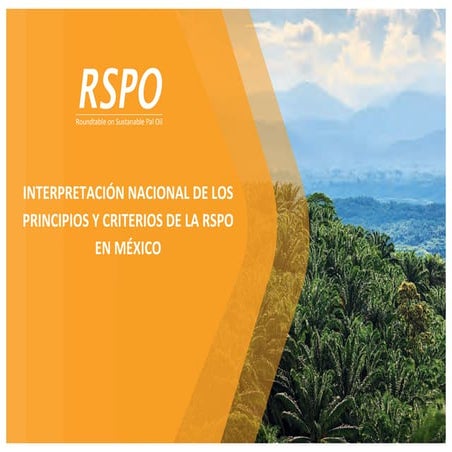 InterpretacioÌ n Nacional de los Principios y Criterios RSPO en MeÌ ...