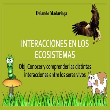 Interacciones Y Ecosistemas