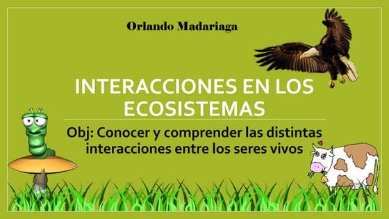 La Biodiversidad y Niveles | PPT