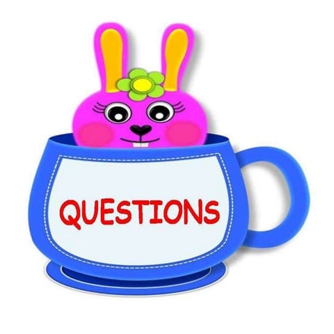 Interrogative pronouns | PPTX