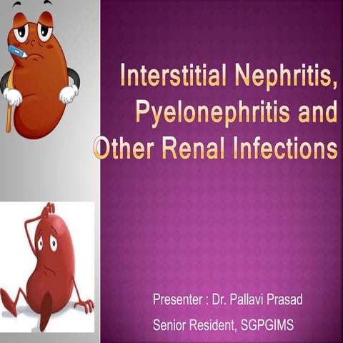 Interstitial nephritis, pyelonephritis and other renal infections | PPTX