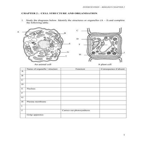 Intervensi bio Form 4 chapter 2 | DOC