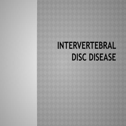 INTERVERTEBRAL DISC DISEASE, a complete slide | PPTX