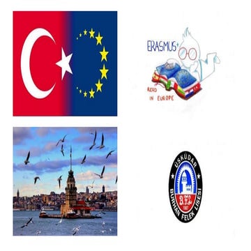 Interview turkey | PPT