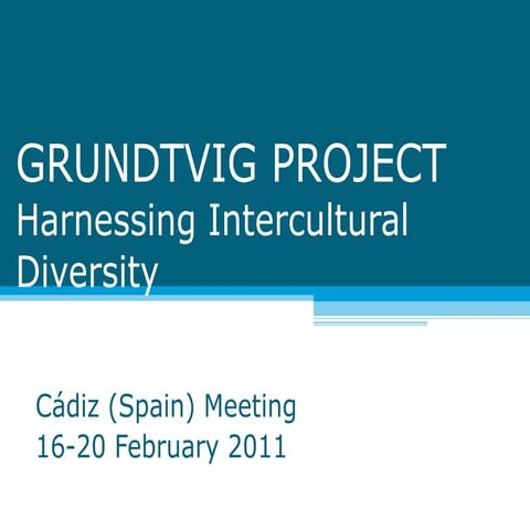 Interviews with immigrants in Spain | PPT