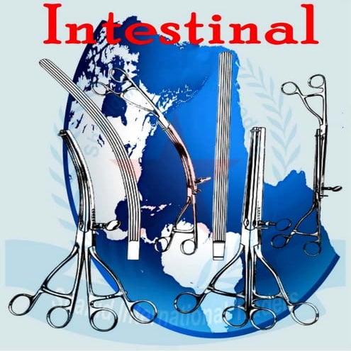 Intestinal | PDF